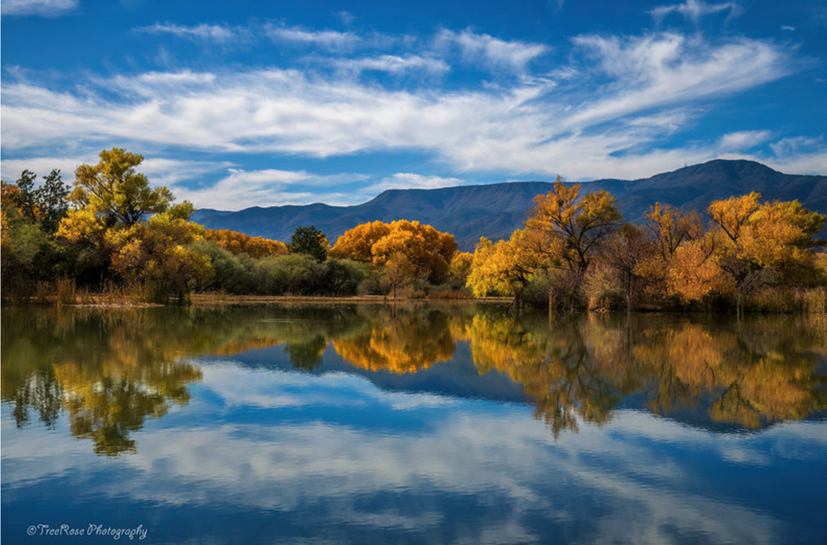 Calm Autumn Reflections at Dead Horse Ranch State Park – Ian Russell ...
