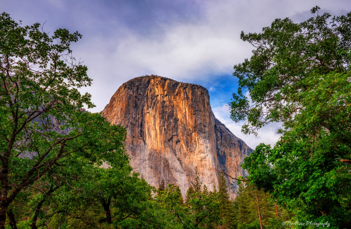 Spotlight on El Capitan – Ian Russell Gallery