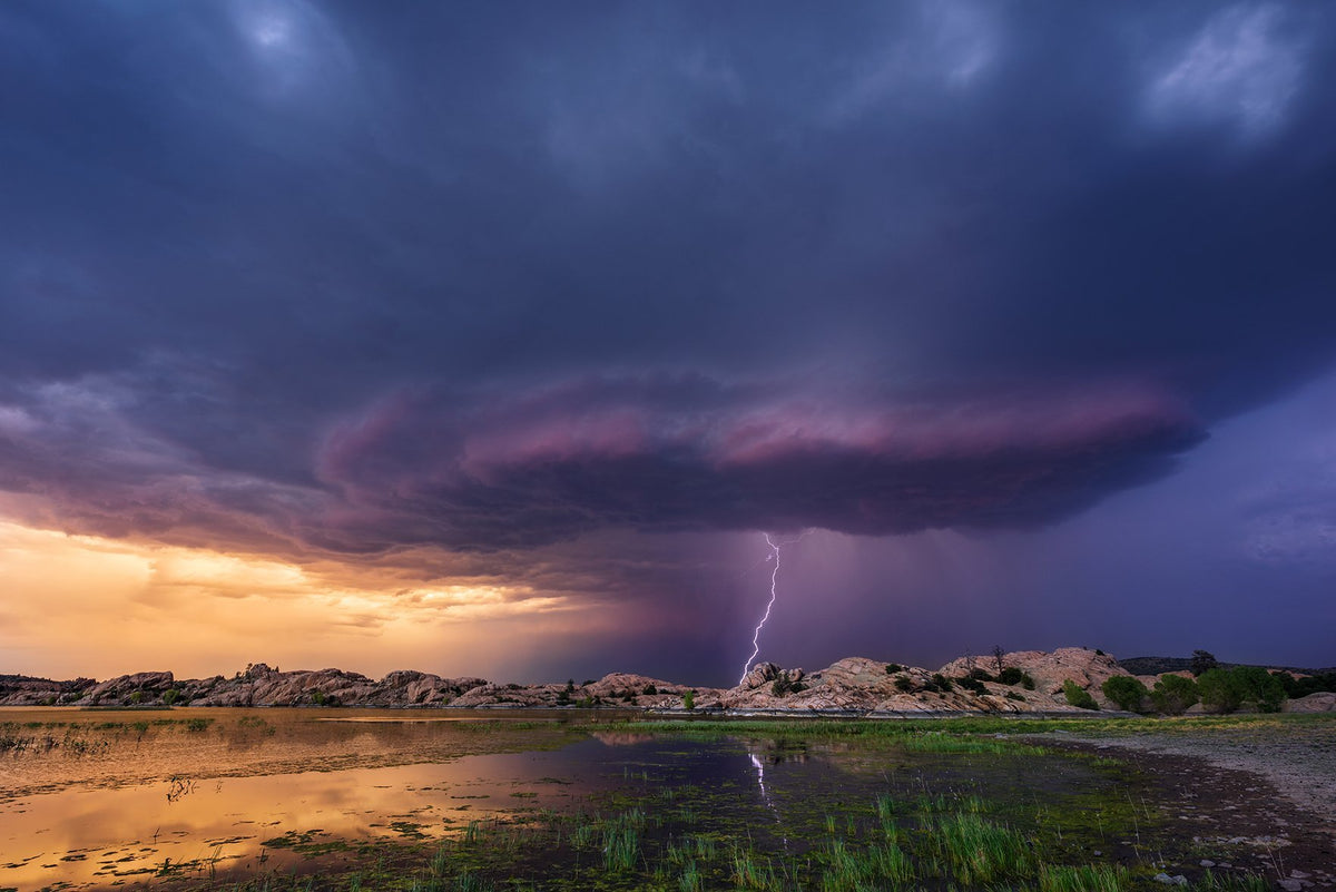 Anticipation – Ian Russell Gallery