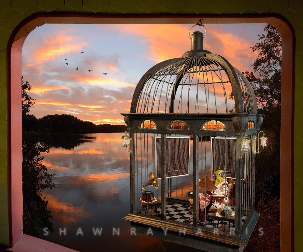 Hi-Fi – Ian Russell Gallery