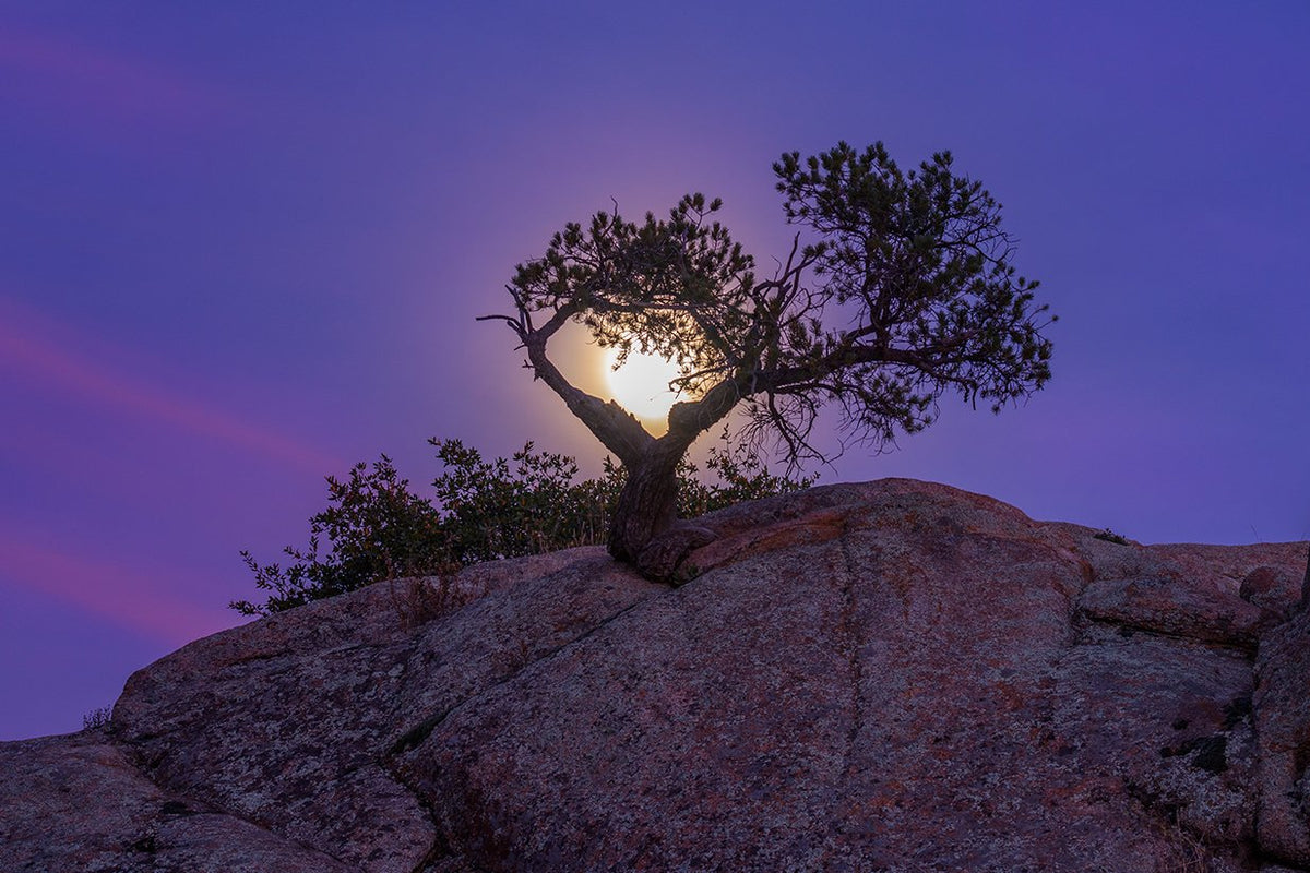 Moon Craddle – Ian Russell Gallery