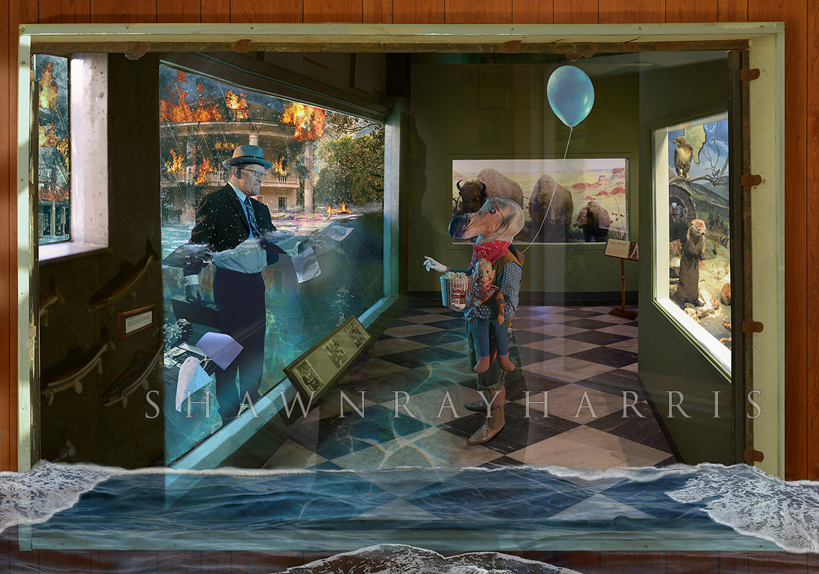 Museum of Curiosity – Ian Russell Gallery