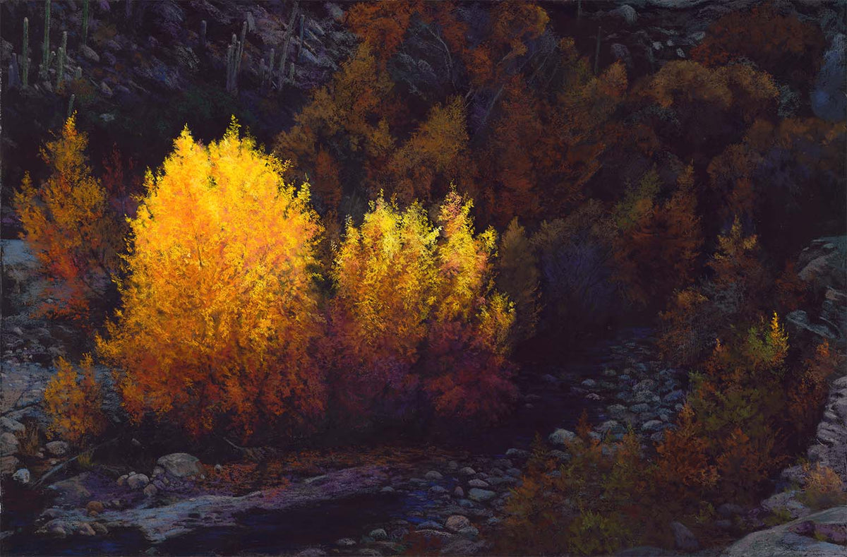 Sabino Canyon Color – Ian Russell Gallery